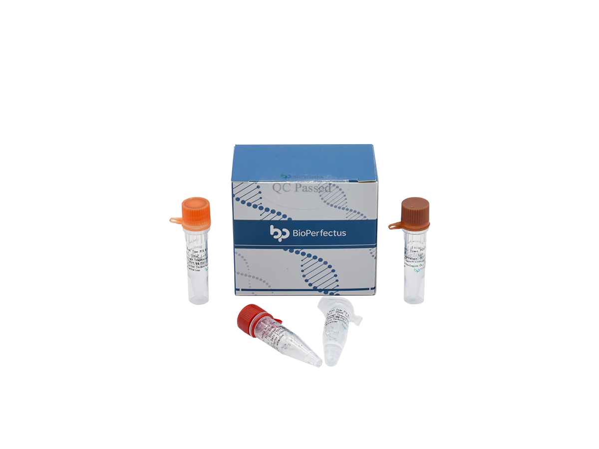 BioPerfectus - Dengue Virus Type 1 & Type 2 Real Time PCR Kit